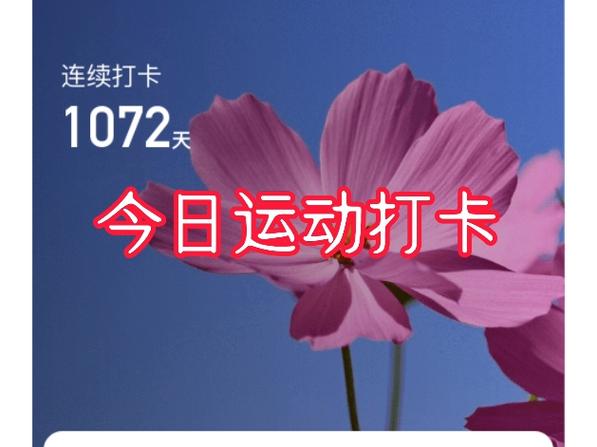 今日打卡图标
