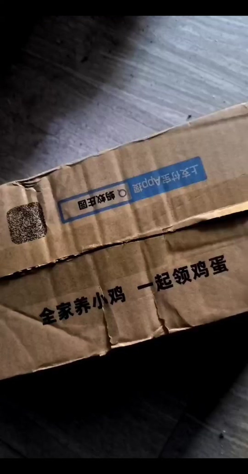 蚂蚁庄园什么情况下送蛋给朋友图标