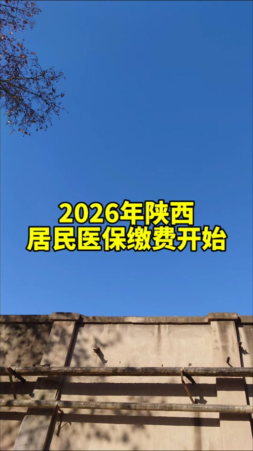 陕西城乡居民医保缴费图标