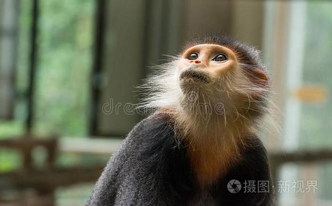 面朝上图标