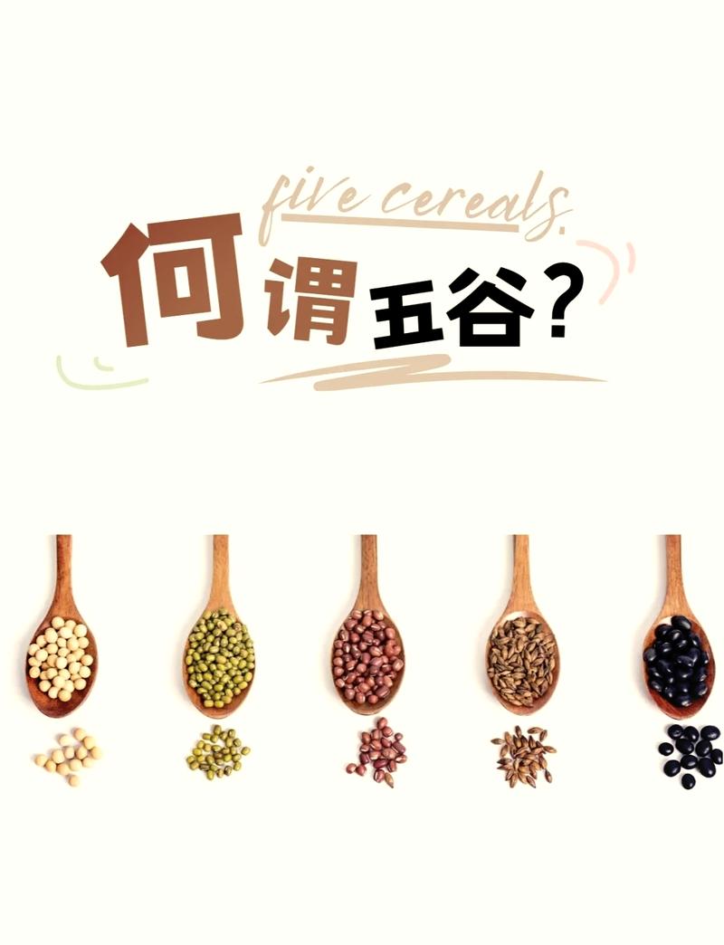 哪个不属于五谷图标