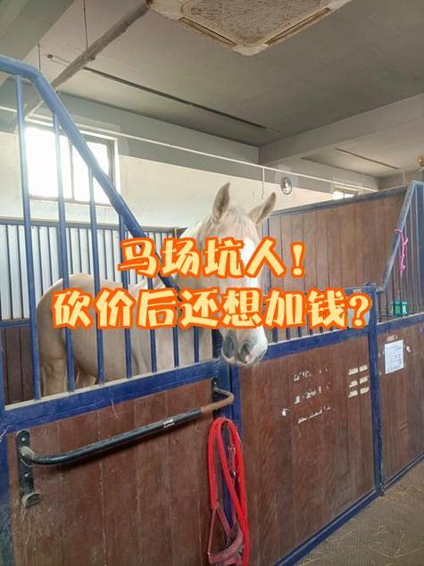 一个马场多少钱图标
