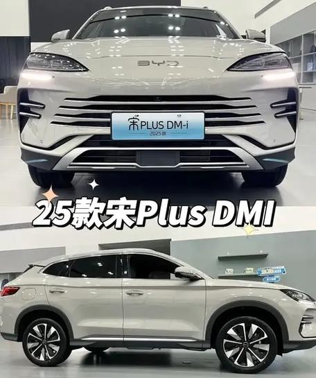 比亚迪宋plus支持快充吗