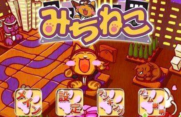 迷路猫缩略图
