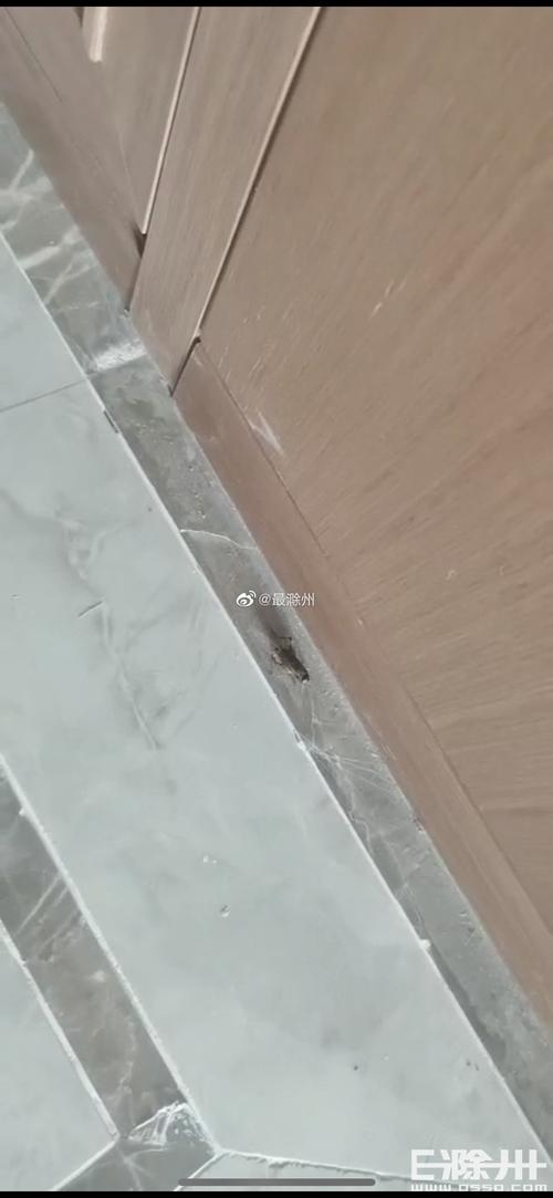 蛐蛐爬床上还能睡吗图标