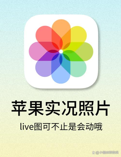 iphone11小视频卡顿截图