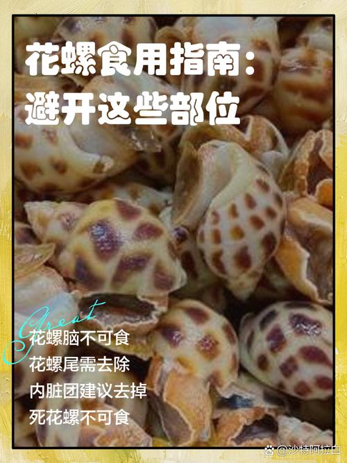 花螺不能吃的部位图图标