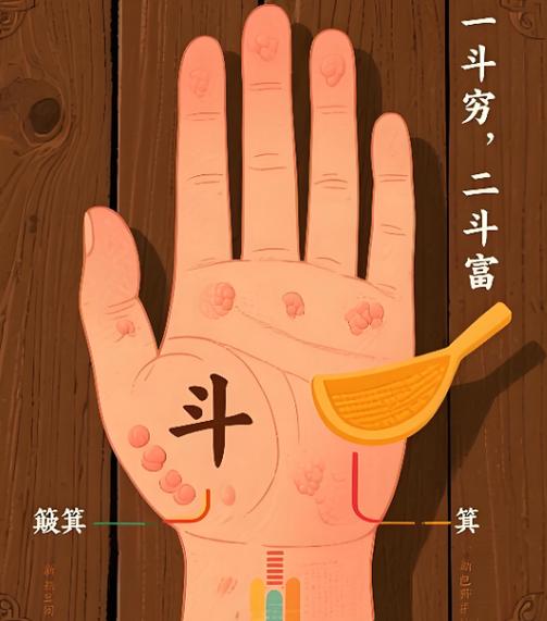 手掌中有簸箕纹代表什么截图