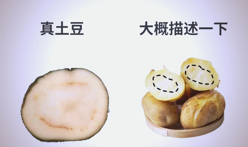 土豆切开没泡水里,0发黄了图标