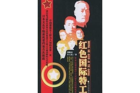 国际特工图标