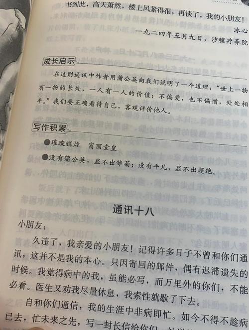 小说希望之星阅读理解截图