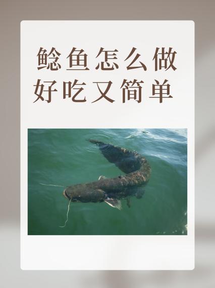 鲶鱼怎么做好吃又简单图标