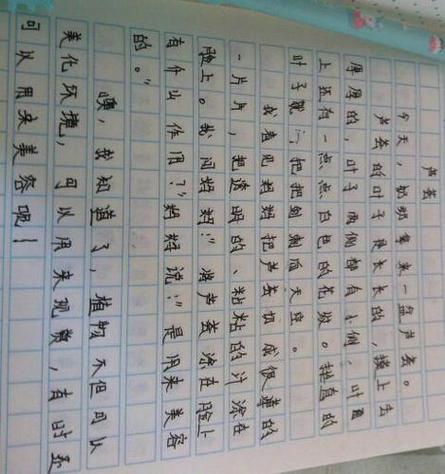 日记200字可抄图标
