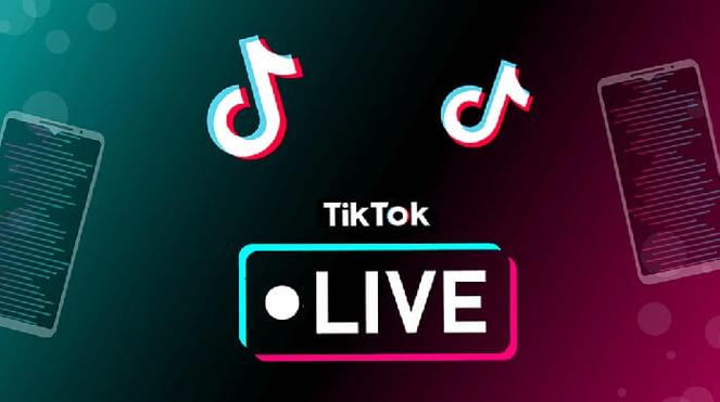 TikTok解锁版下载图标