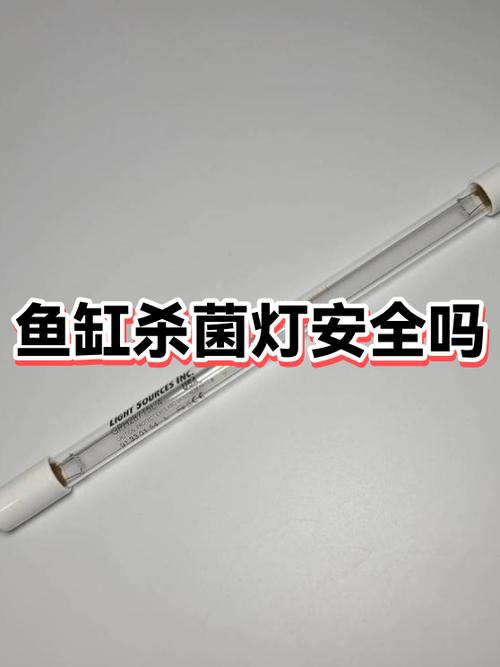 鱼缸有必要用杀菌灯吗图标