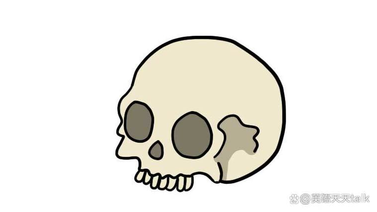 骷髅头是什么意思截图