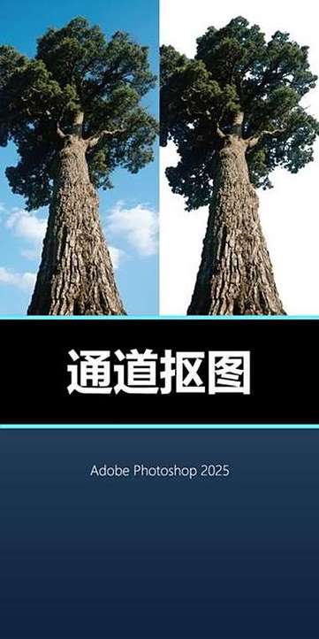 p图软件photoshop图标