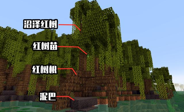 mc红树林沼泽指令截图