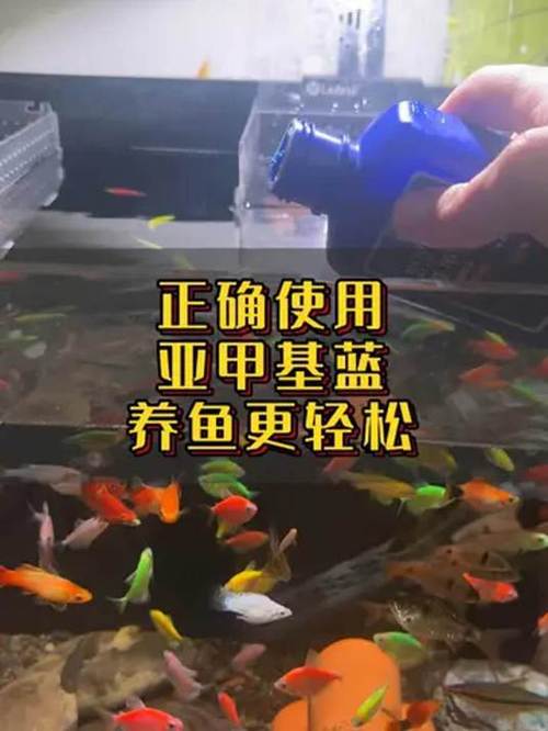 新鱼入缸前用亚甲基蓝消毒多久图标