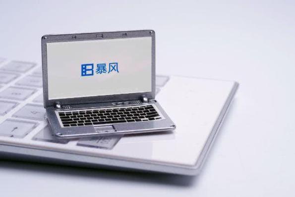 暴风集团风行图标