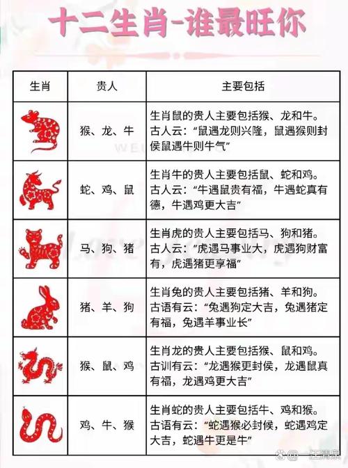 派字最旺的三个属相图标