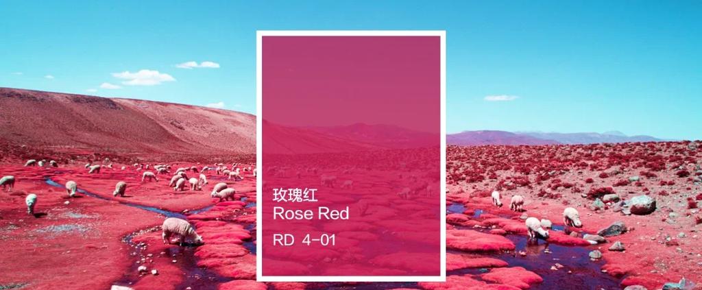 宝贝描述灰色和红色什么意思图标