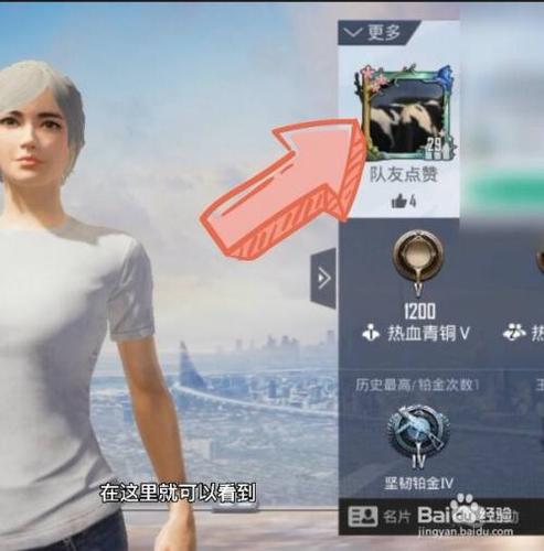 和平精英换头像不同步图标
