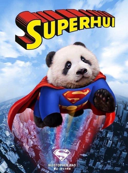 superpanda的中文名截图