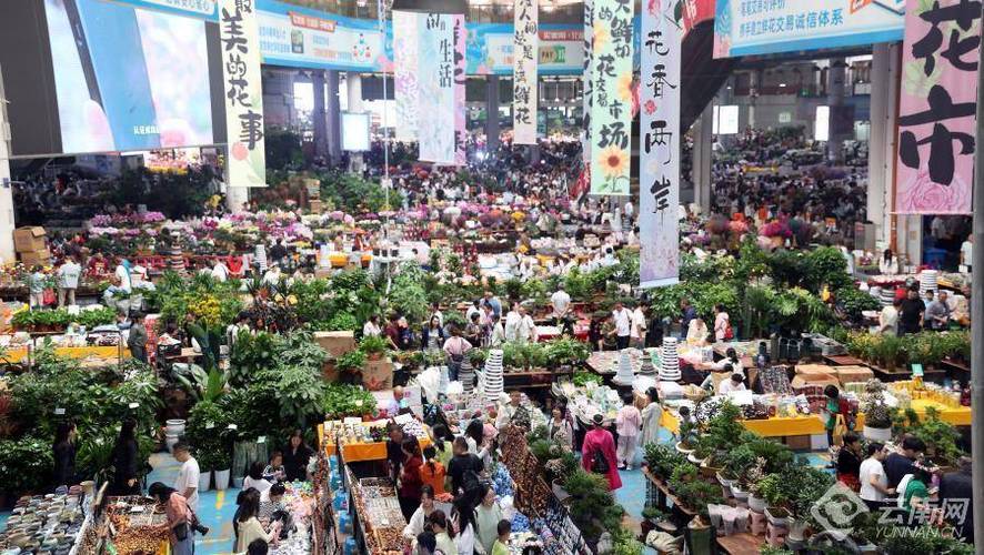 鲜花批发市场图标
