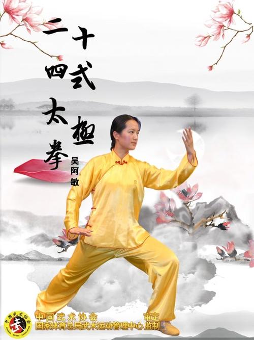 吴阿敏24式太极拳教学视频全套