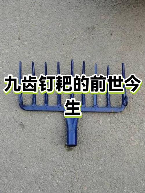 九齿钉耙的来历图标