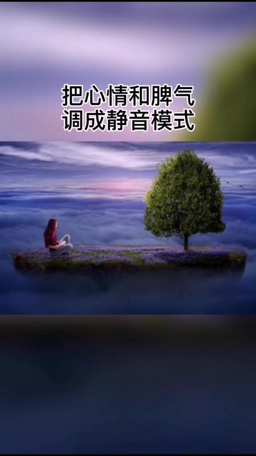 把脾气调成静音模式截图