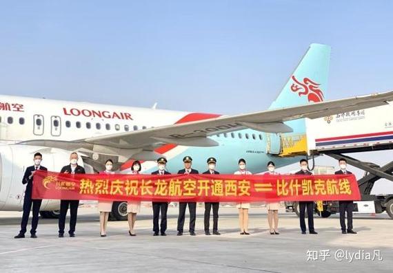 长龙航空公司简介图标