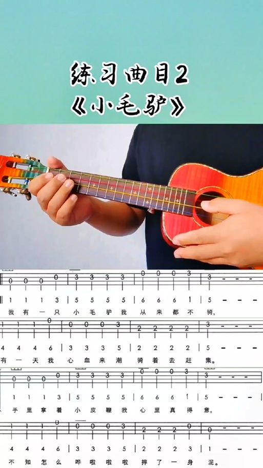 小毛驴歌词图标