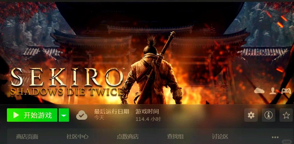 只狼进游戏的选项