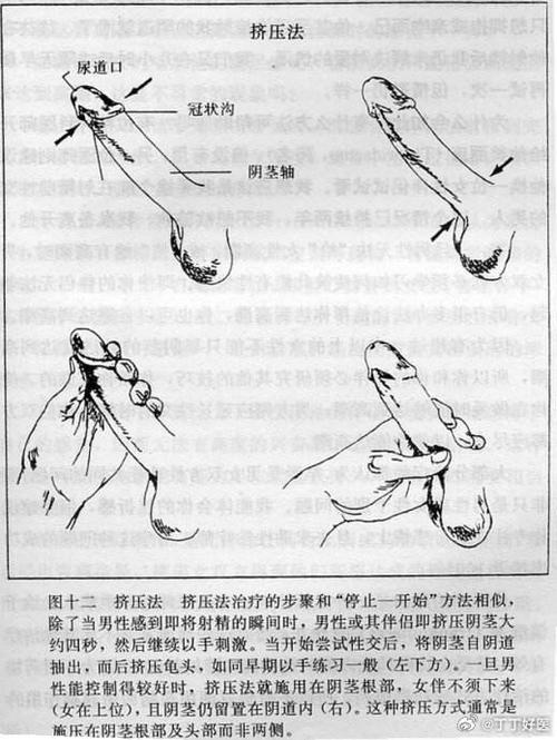 延时的正确方法图标
