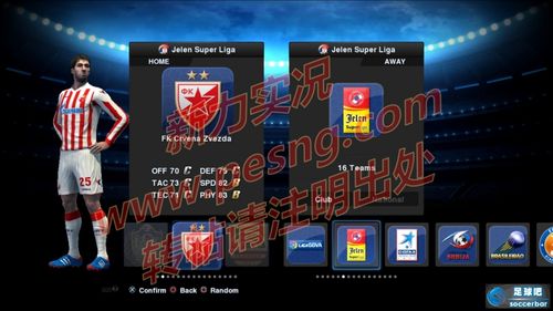 pes2013塞尔维亚大补图标