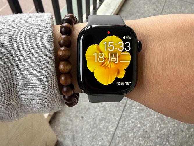 iwatch心跳检测准吗截图