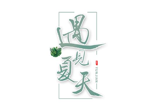 遇见夏天的唯美句子图标