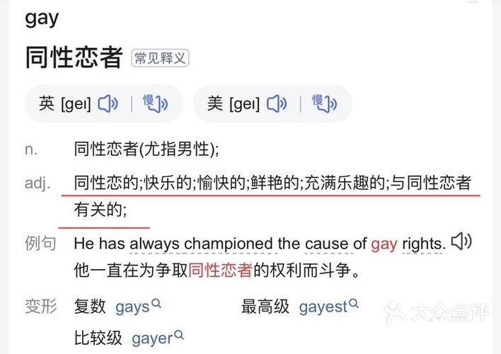 男人是Gay啥意思图标