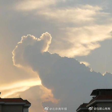 云赞这个软件咋样截图
