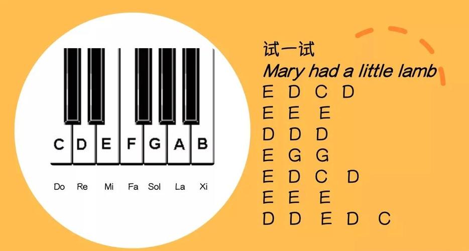 基本音级都是白键吗图标