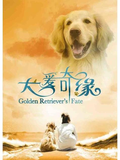 爱犬奇缘图标