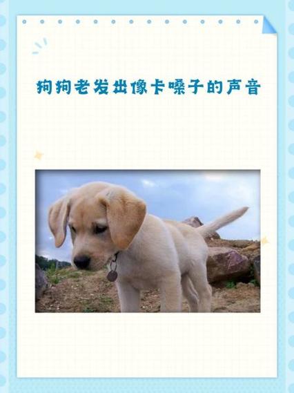 狗狗发出像被卡住喉咙的声音