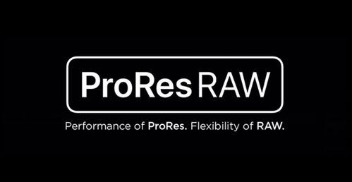 prores格式与raw区别图标