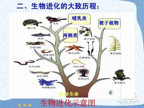 生物起源说合集