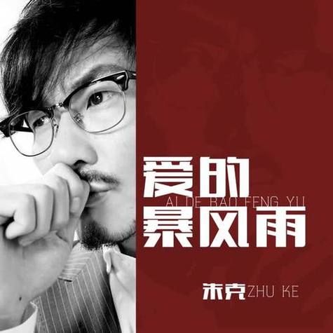 爱的暴风雨翻唱截图