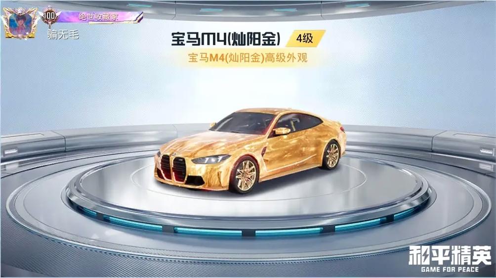 和平精英标记了一辆车图标