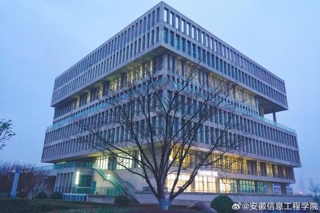 安徽大学电子信息工程学院图标