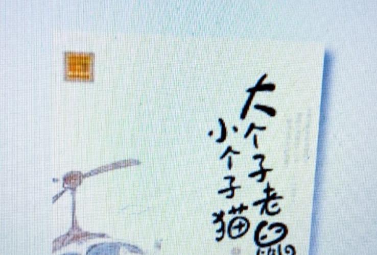 大个子老鼠小个子猫的作者是图标